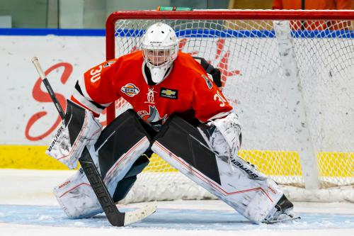 Shane Shelest - Stats & Facts - Elite Prospects