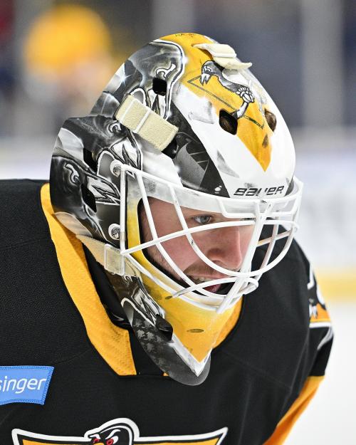 Filip Larsson - Stats, Contract, Salary & More