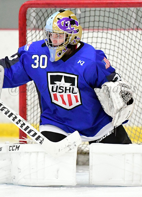 Matthew Smith - Elite Prospects