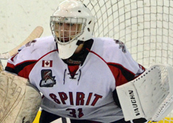 Daniel Mannella - Elite Prospects