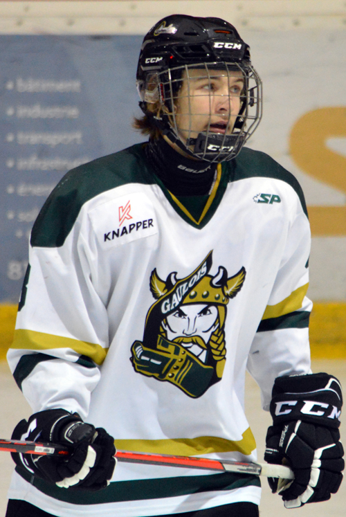 Mathieu Taillefer - Stats & Facts - Elite Prospects