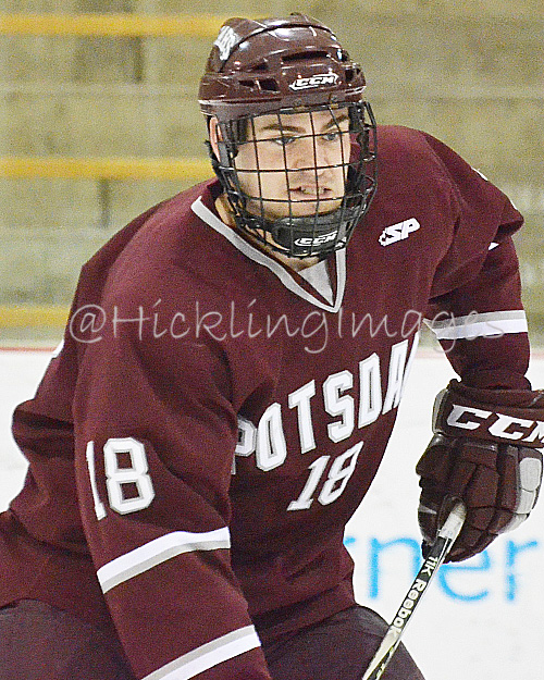 Matt Thompson - Elite Prospects