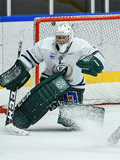 Tobias Normann - Elite Prospects