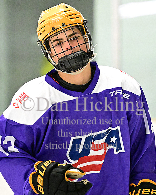 Michael Ferentino - Stats, Contract, Salary & More