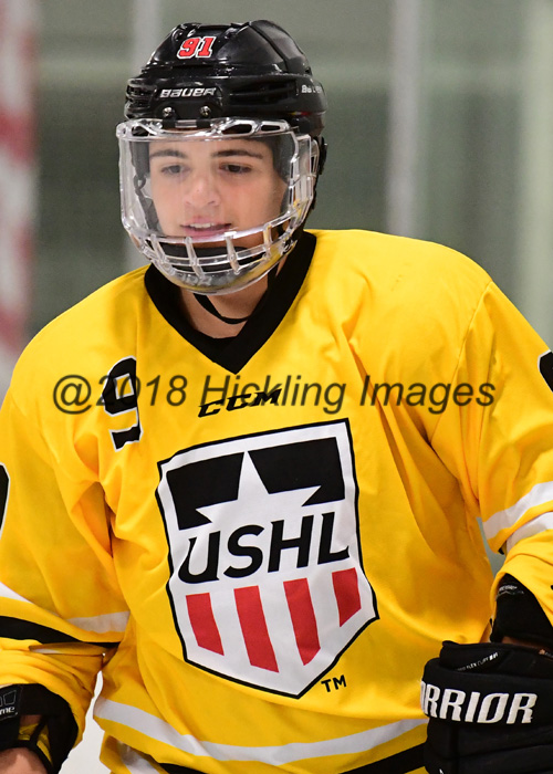 Anthony Vernillo - Elite Prospects