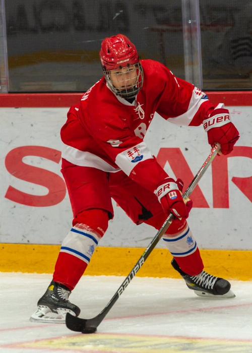 William Lindgren - Elite Prospects