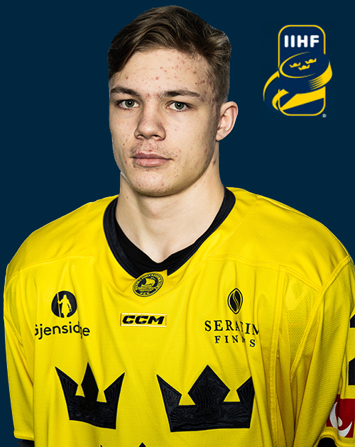 Anton Wahlberg - Stats, Contract, Salary & More