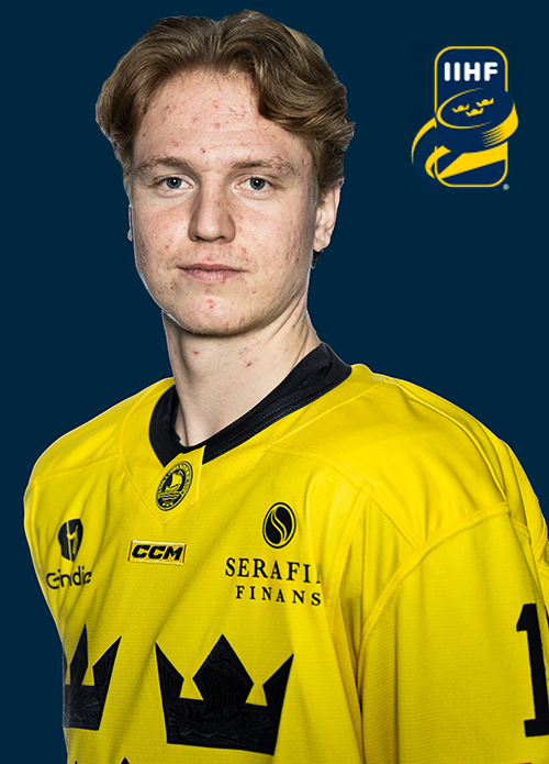 Filip Bystedt - Stats, Contract, Salary & More