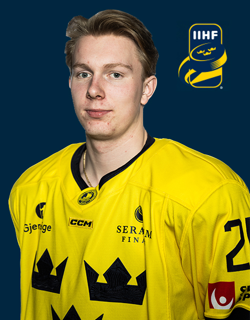 Otto Stenberg - Stats, Contract, Salary & More