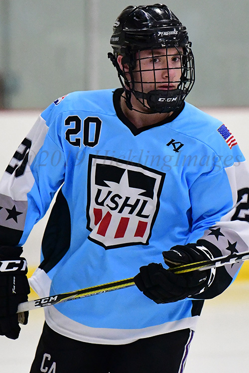 Shane Zarcone - Elite Prospects