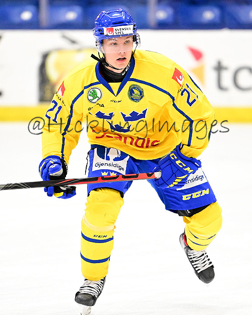 Fabian Lysell - Elite Prospects