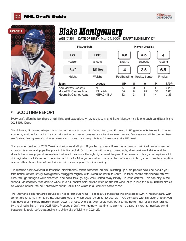 Blake Montgomery - Stats, Contract, Salary & More
